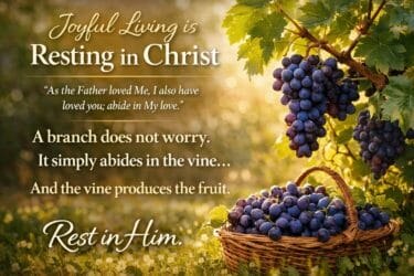 John 15: Live Life with Great Joy - Christian Grandfather Magazine